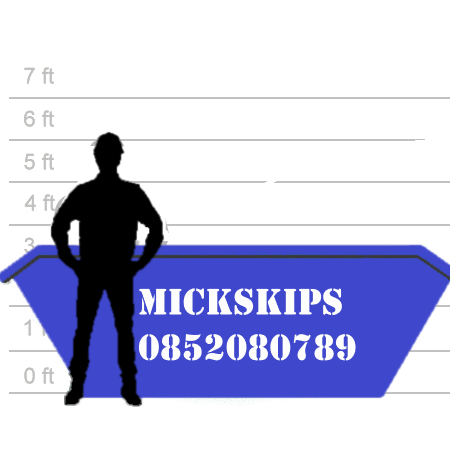Standard Skip (6CY) - Micks Recycling Ltd